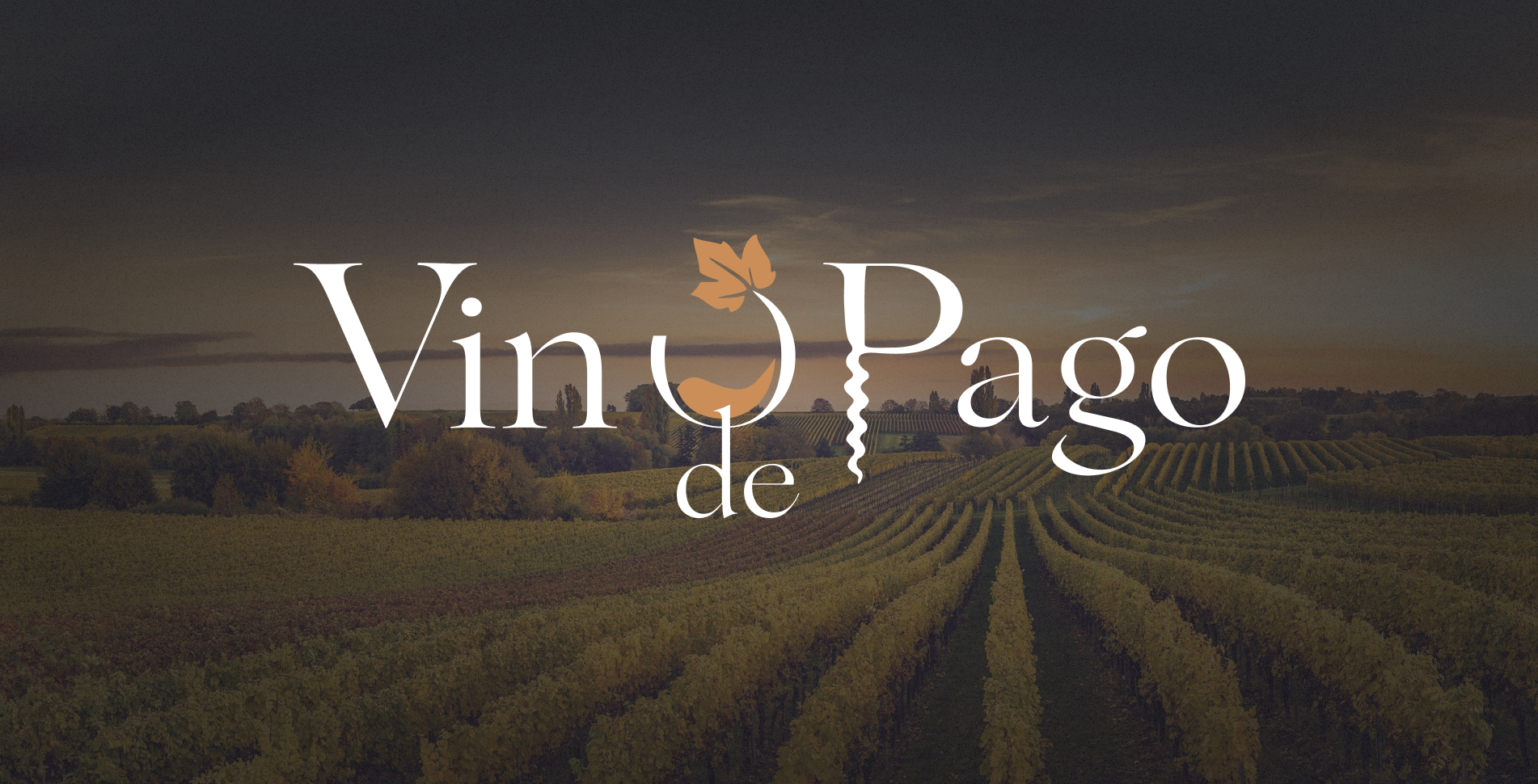 Vino de Pago | The Elite of Spanish Wines
